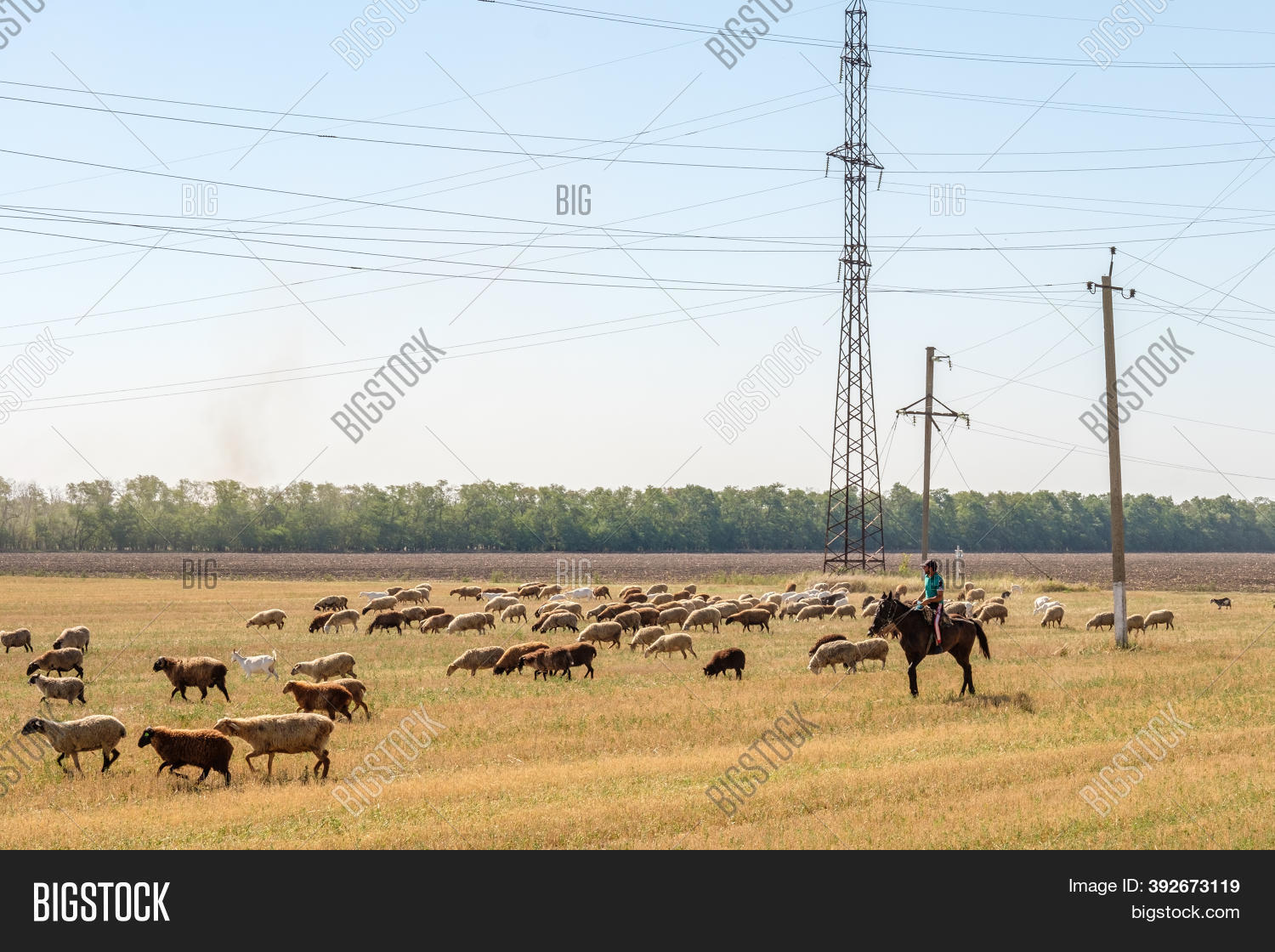 Krasnodar Region. Image & Photo (Free Trial) | Bigstock