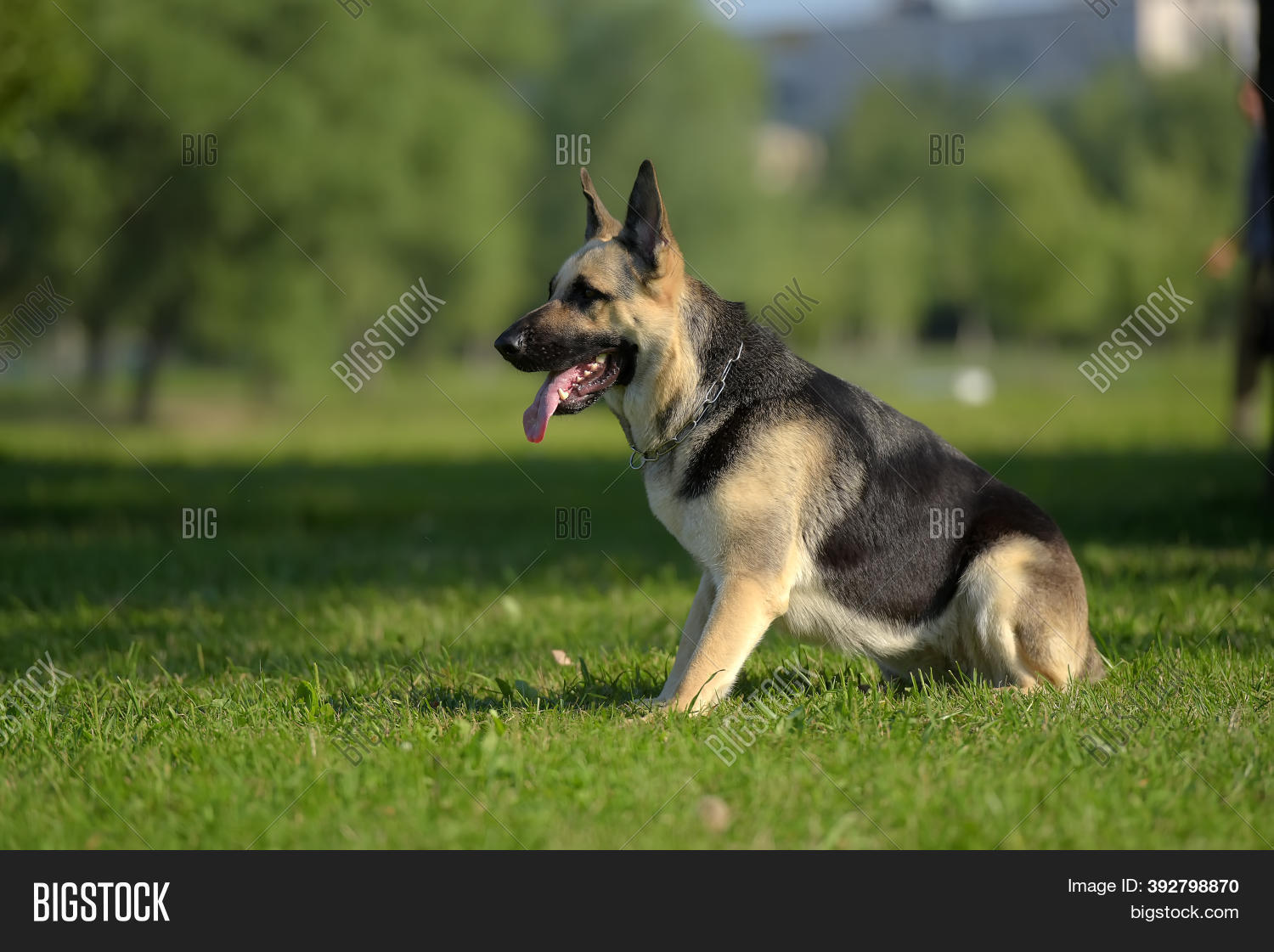 Eastern European Image & Photo (Free Trial) | Bigstock