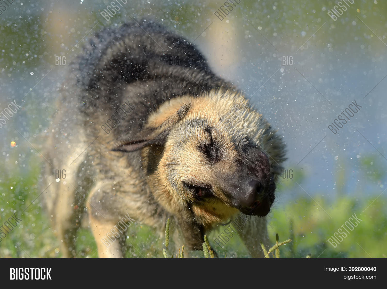 Eastern European Image & Photo (Free Trial) | Bigstock