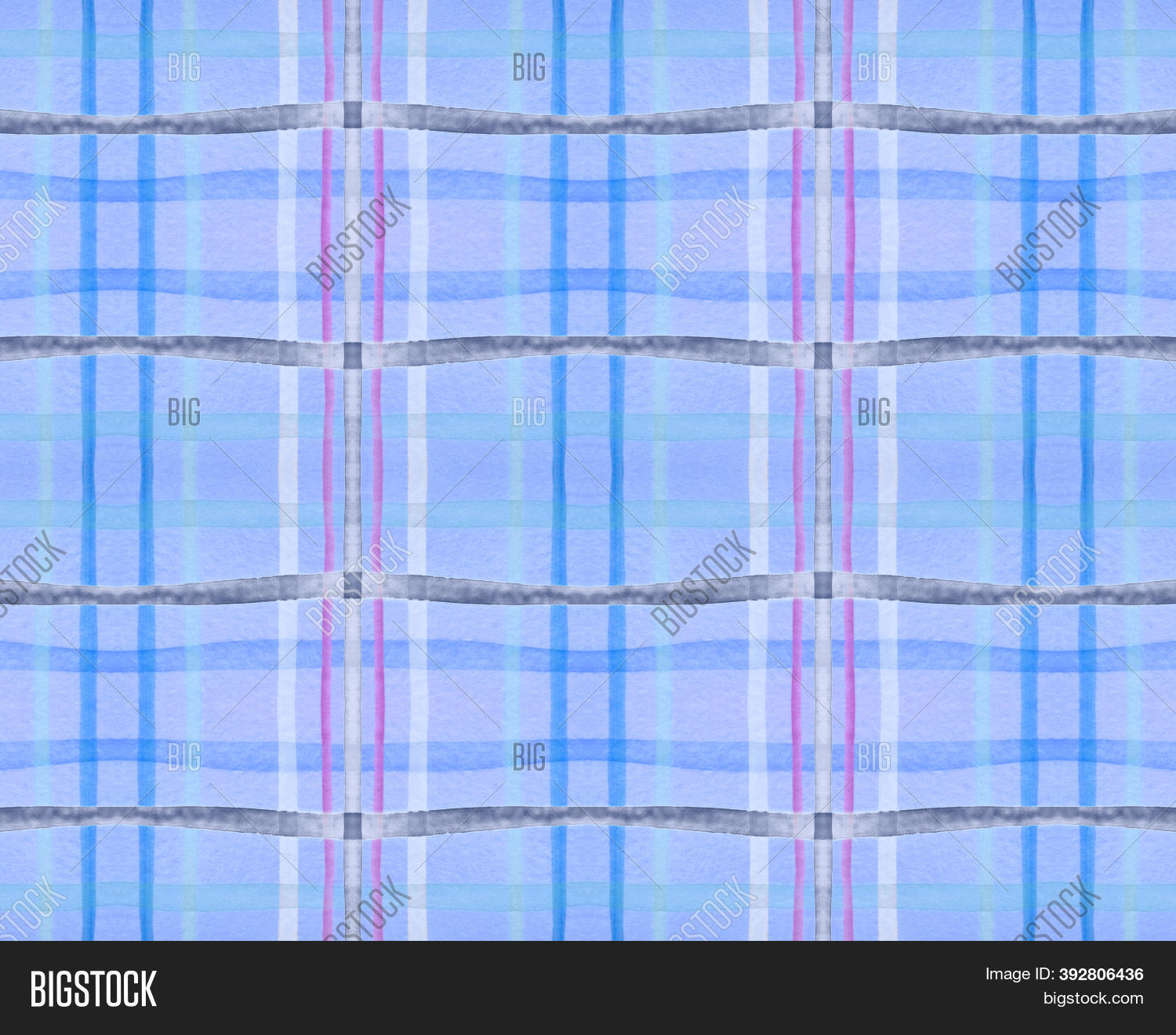 Blue Check Print. Image & Photo (Free Trial) | Bigstock