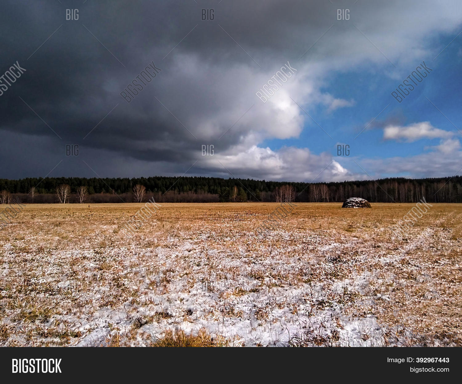 View Dry Grass Field Image & Photo (Free Trial) | Bigstock