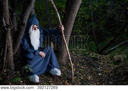 Wizard Long Gray Beard Image & Photo (Free Trial) | Bigstock