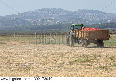 Tel Aviv, Israel - Image & Photo (Free Trial) | Bigstock