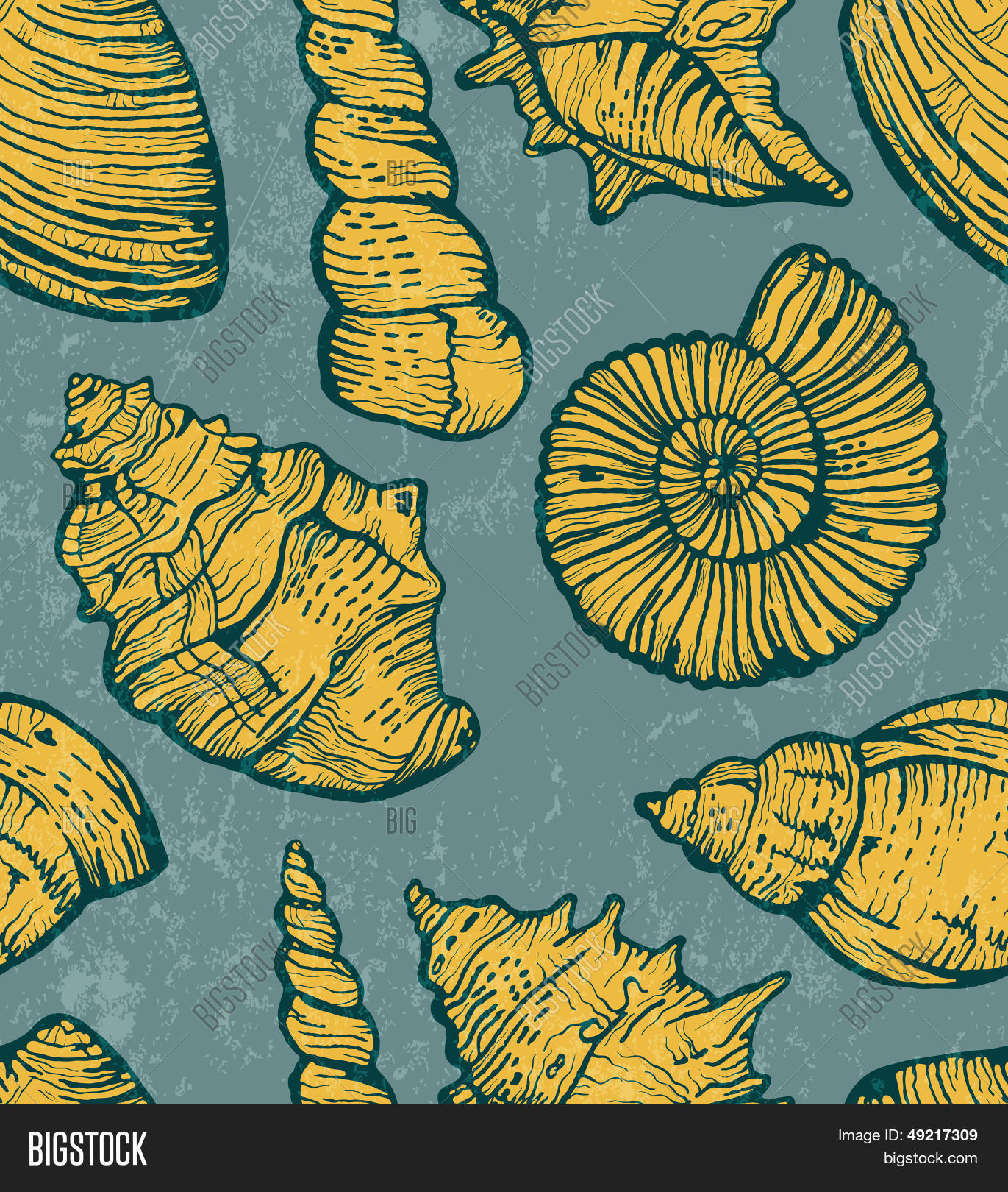 Sea Shell Background Vector & Photo (Free Trial) | Bigstock