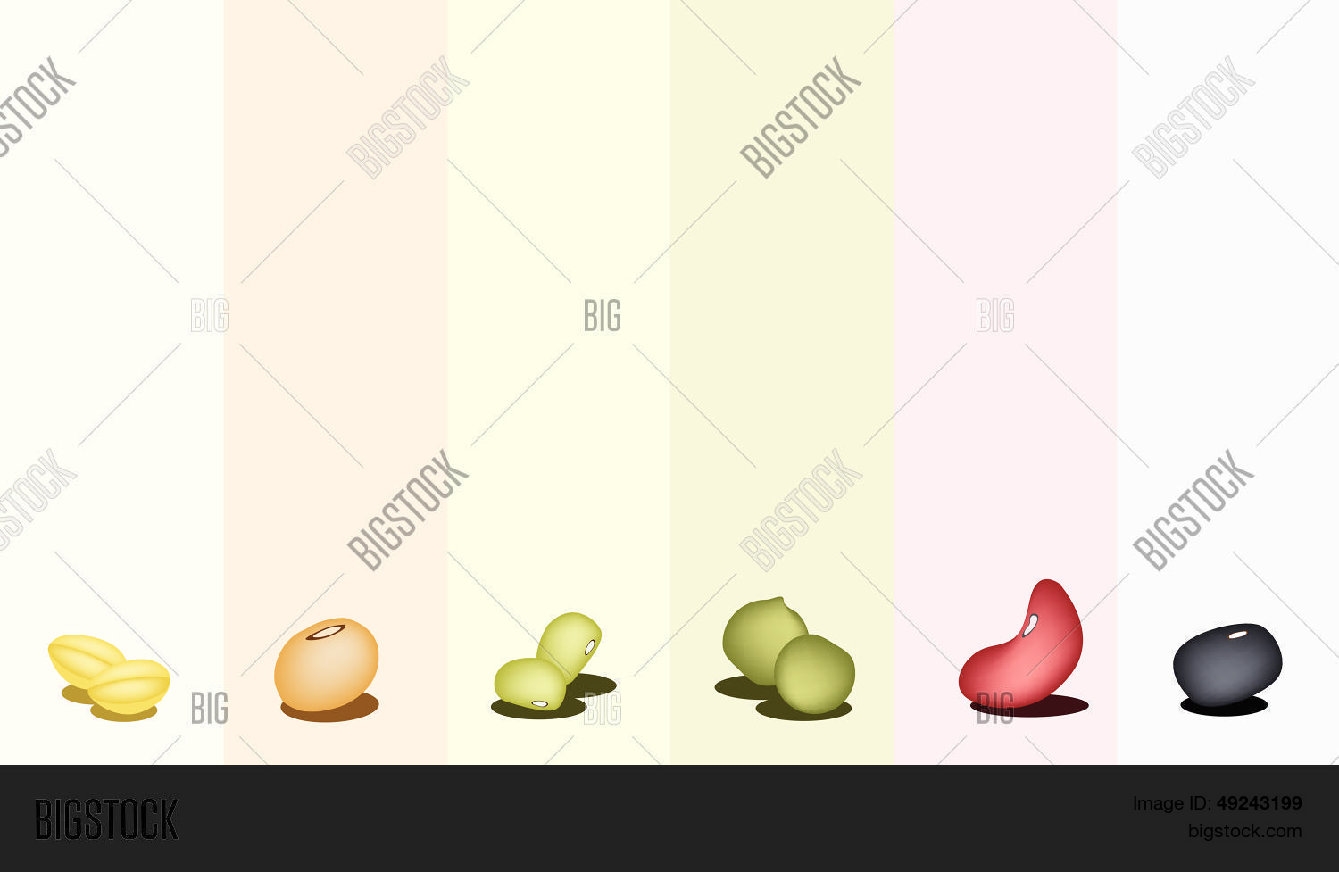 Set Different Beans Vector & Photo (Free Trial) | Bigstock
