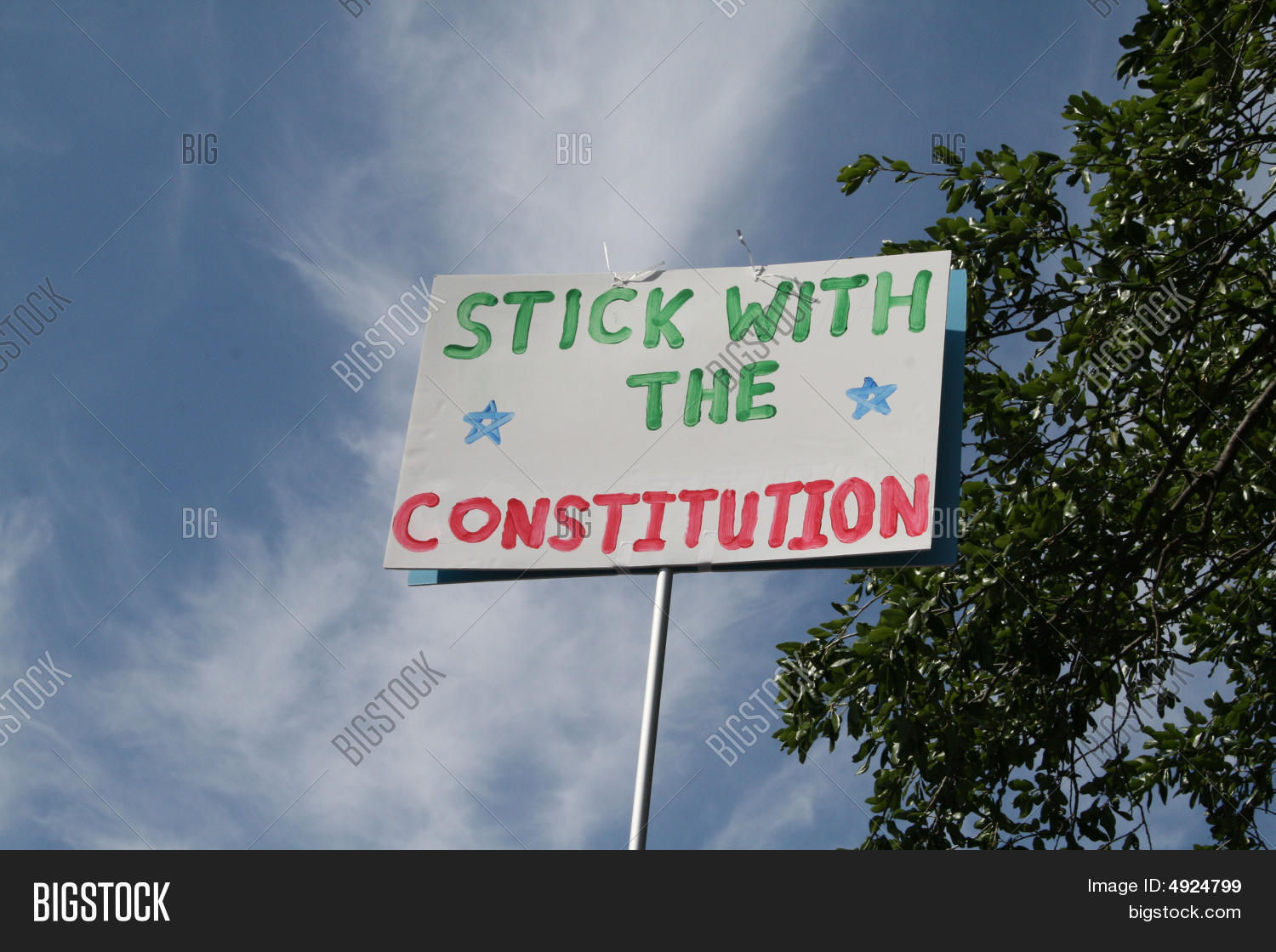 Constitution Support Image & Photo (Free Trial) | Bigstock