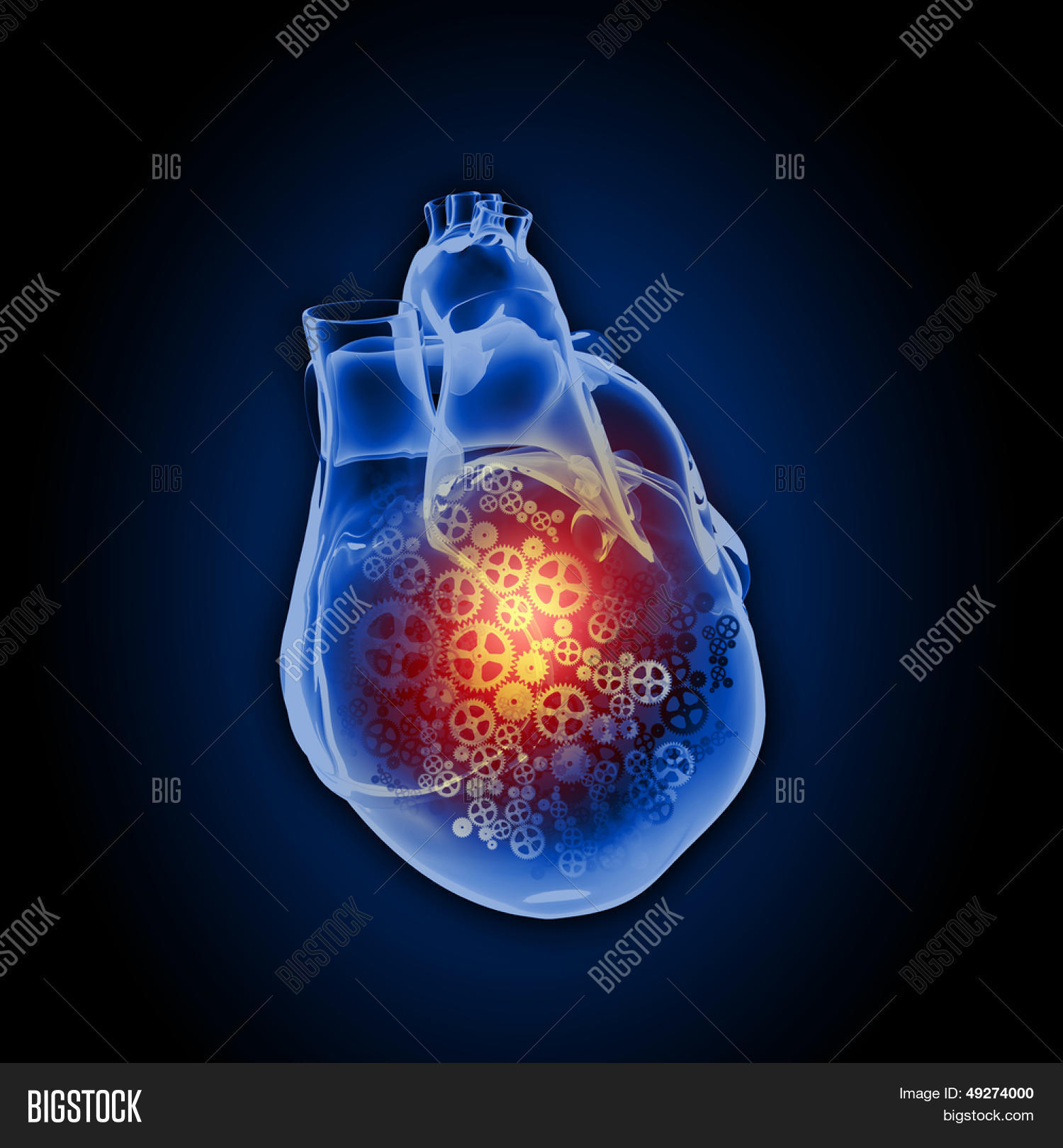 Human Heart Cog Gear Image & Photo (Free Trial) | Bigstock