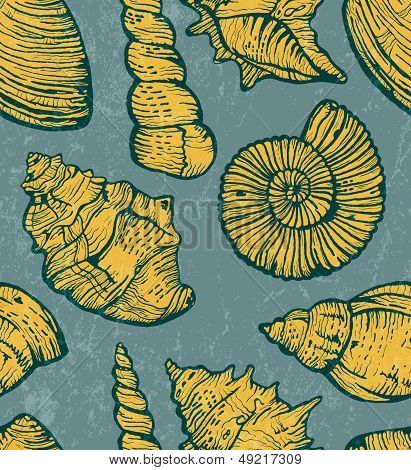 Sea Shell Background Vector & Photo (Free Trial) | Bigstock