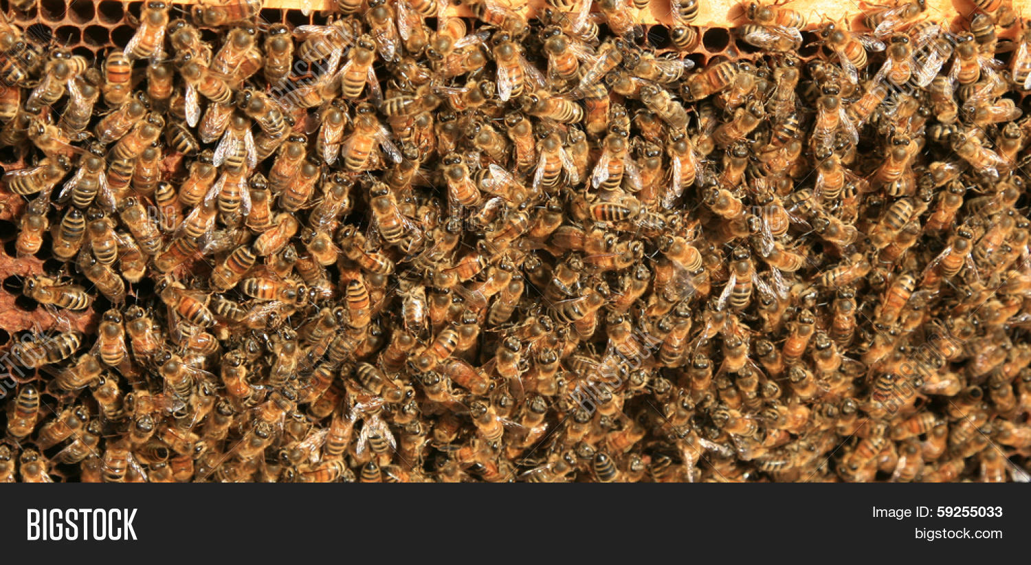 Amazing Views Real Image & Photo (Free Trial) | Bigstock