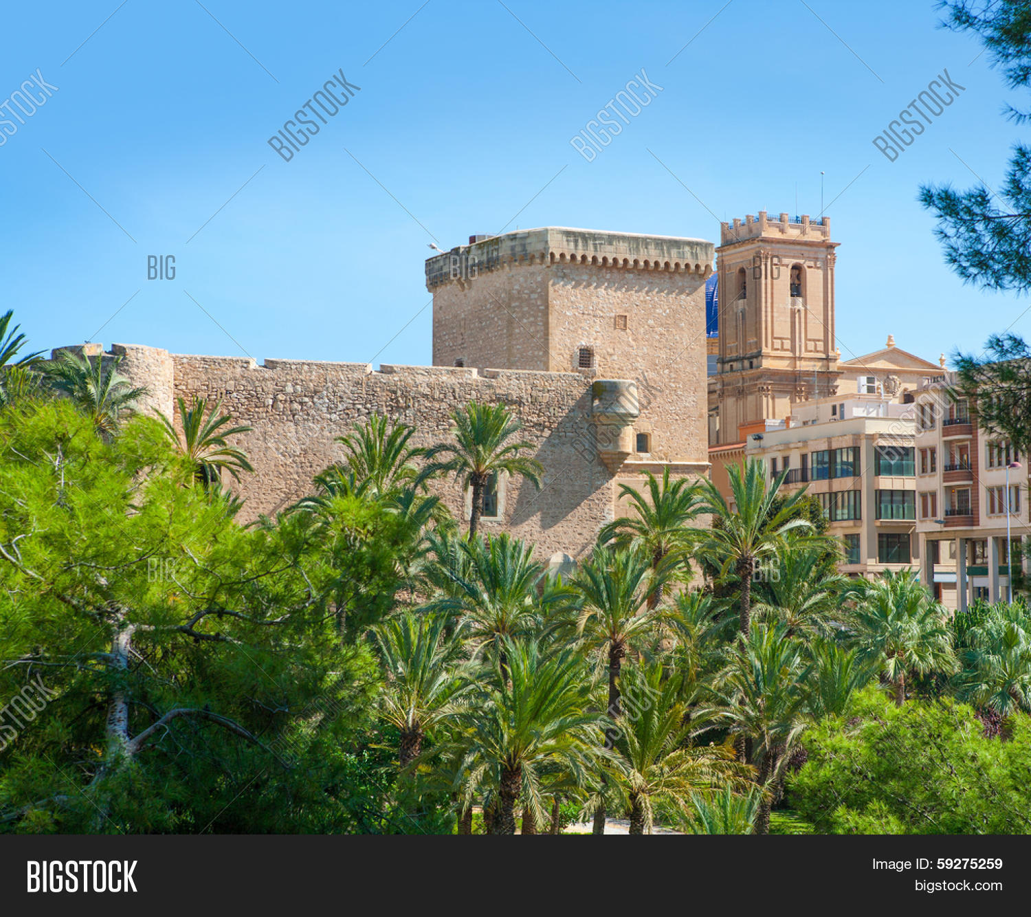 Elche Elx Alicante El Image & Photo (Free Trial) | Bigstock
