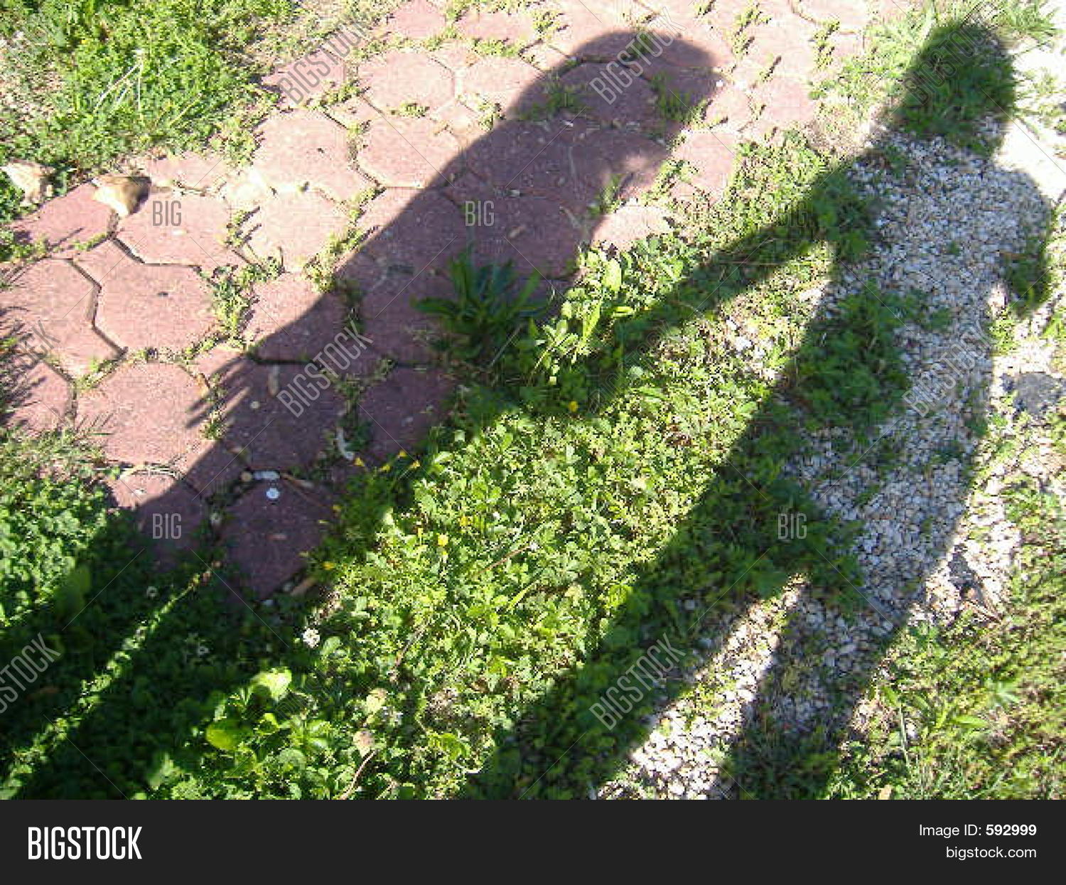 Sister Shadows Image & Photo (Free Trial) | Bigstock