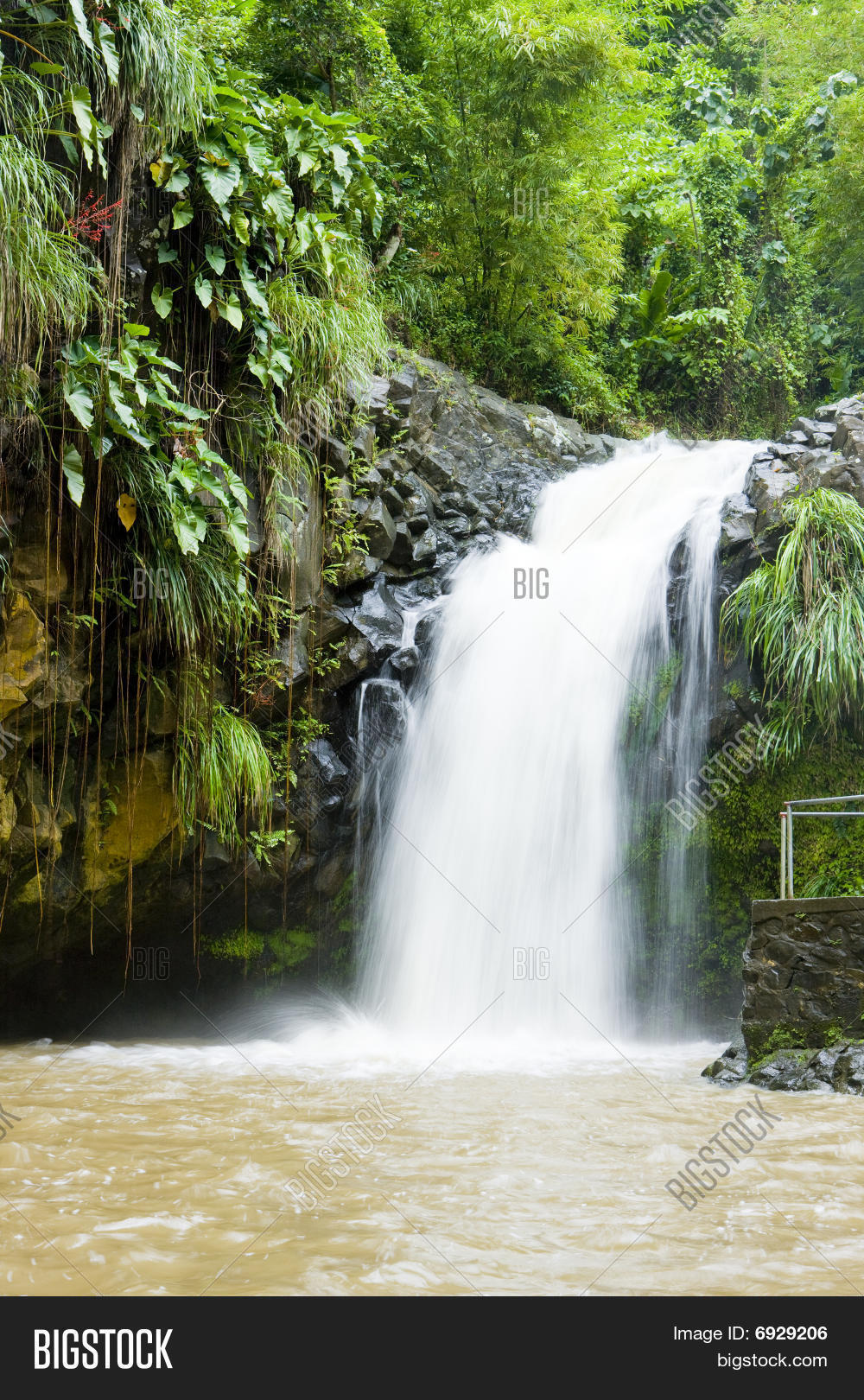 Annadale Falls Grenada Image & Photo (Free Trial) | Bigstock