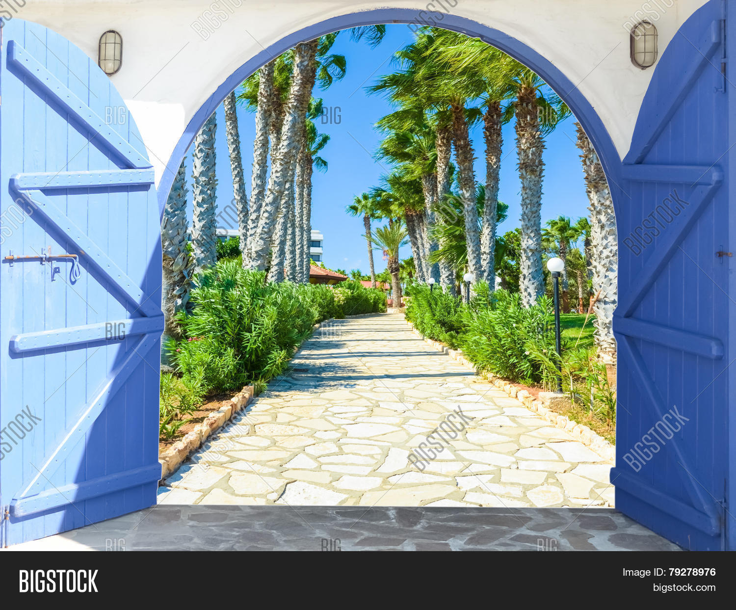 Open Door Arch Access Image & Photo (Free Trial) | Bigstock