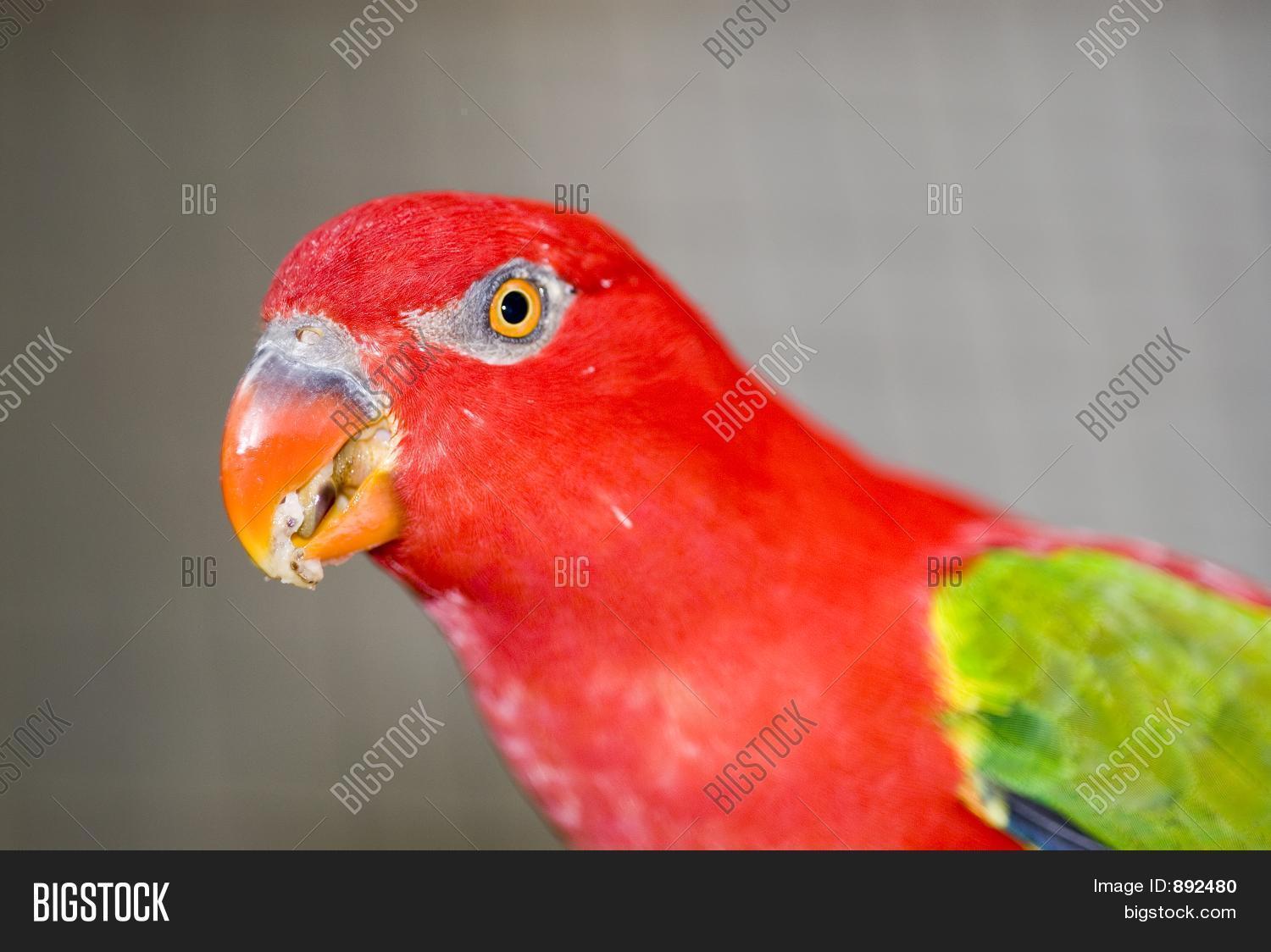 Lorries Image & Photo (Free Trial) | Bigstock