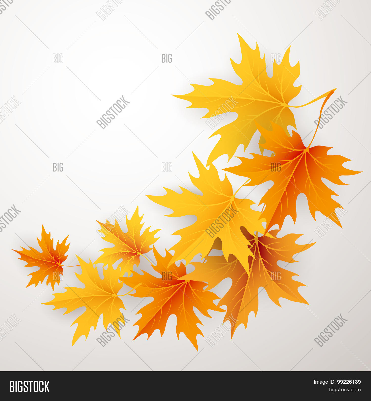 Autumn Maples Falling Vector & Photo (Free Trial) | Bigstock