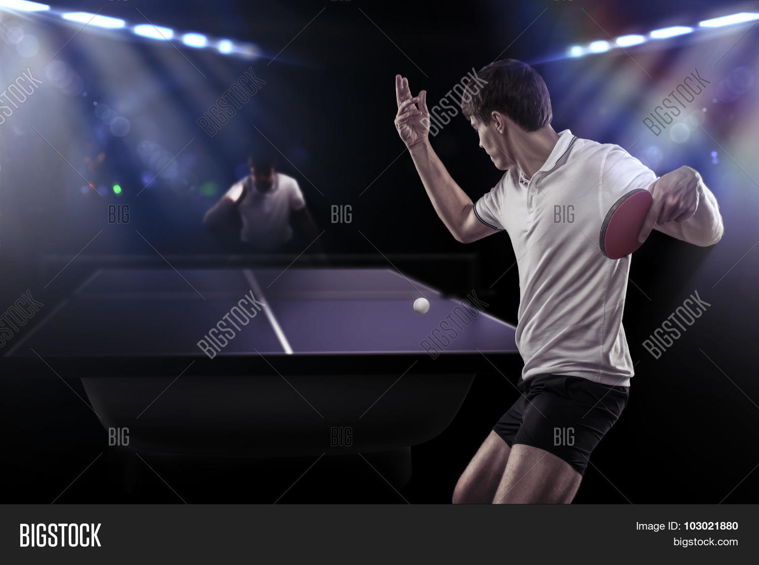 Table Tennis Player Image & Photo (Free Trial) | Bigstock