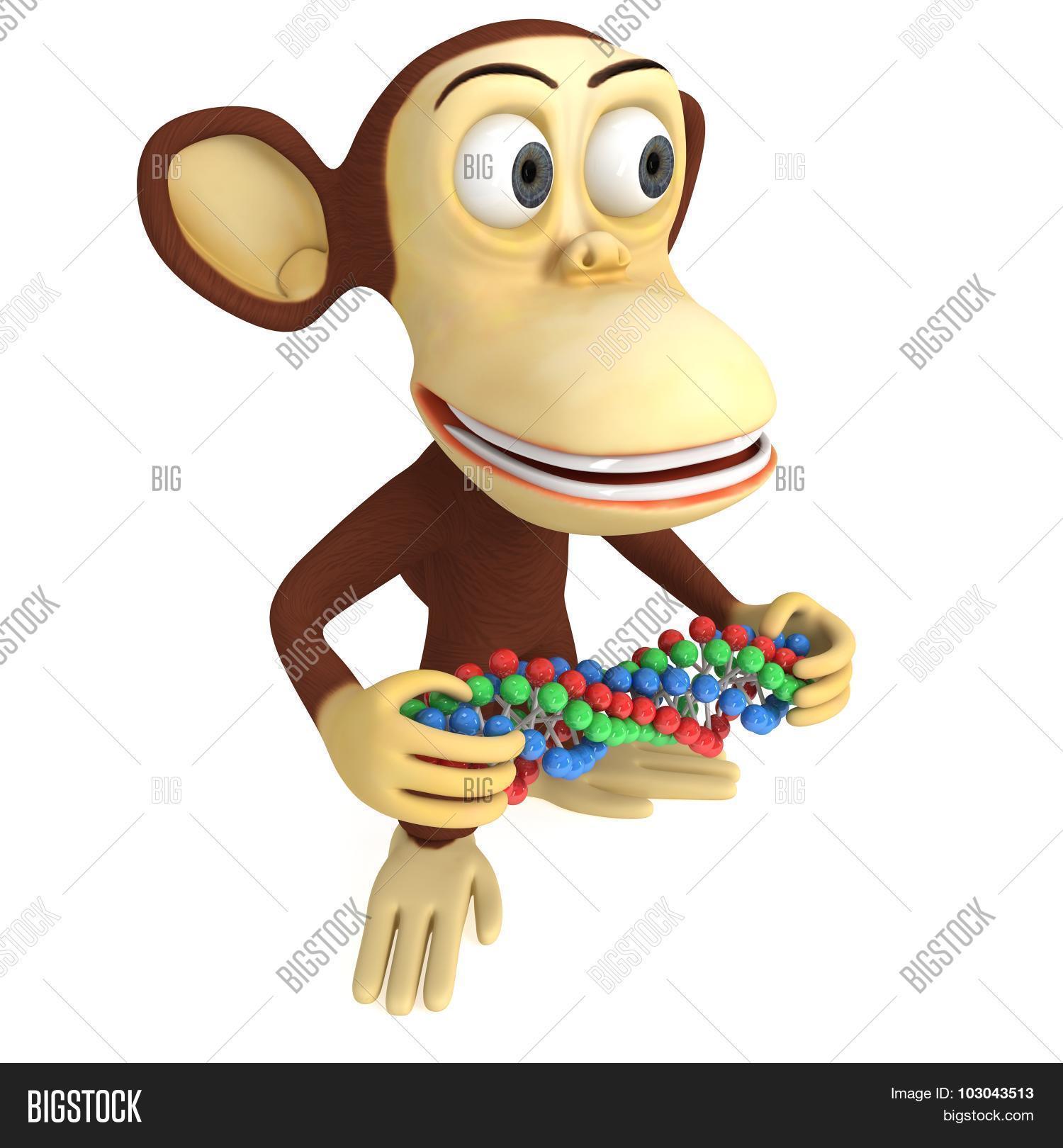 3D Funny Monkey Dna Image & Photo (Free Trial) | Bigstock