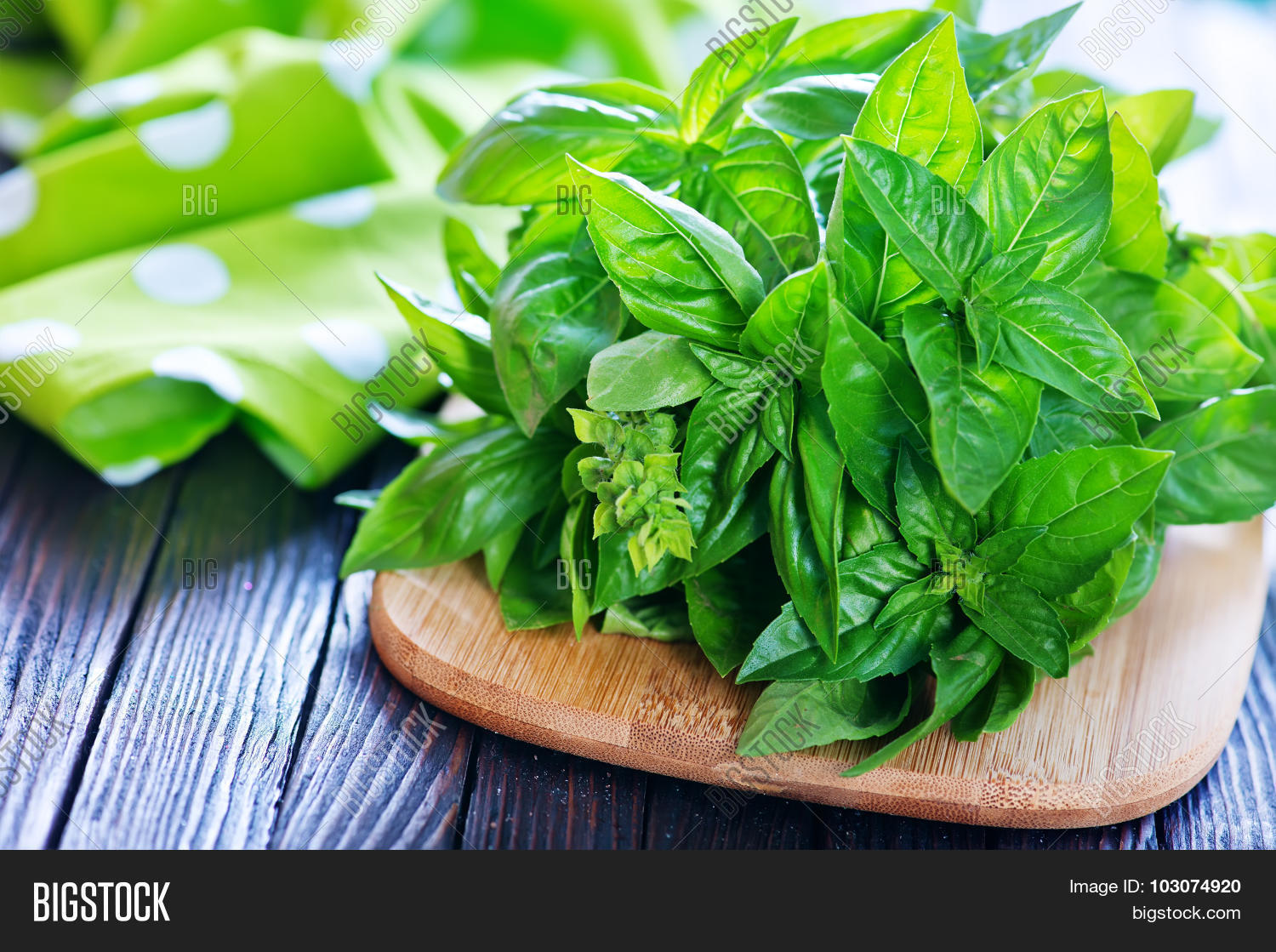 Fresh Basil Image & Photo (Free Trial) | Bigstock