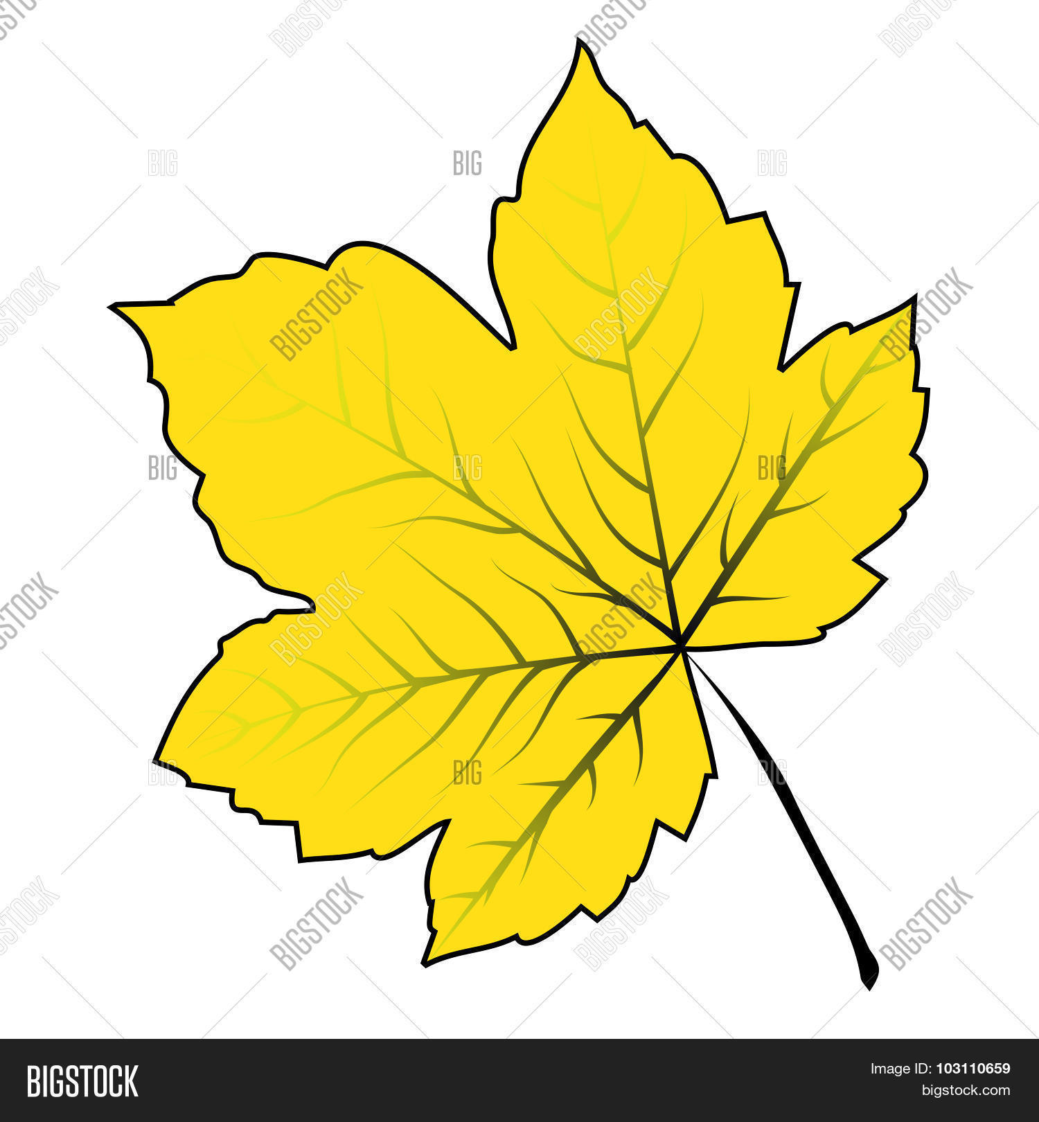 Image Cartoon Maple Vector & Photo (Free Trial) | Bigstock