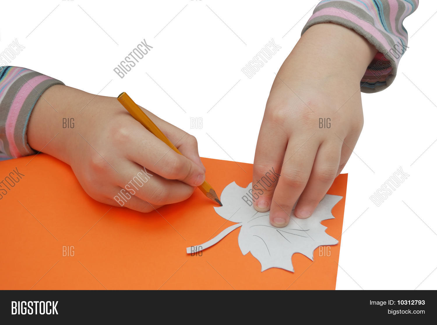 Child Hands Draws Leaf Image & Photo (Free Trial) | Bigstock