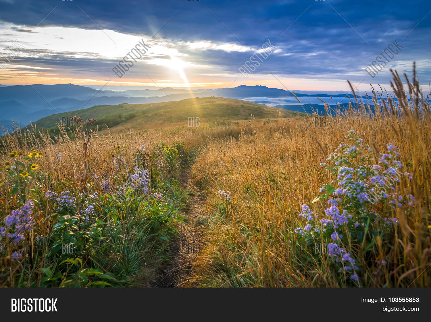 Amazing Morning Hike Image & Photo (Free Trial) | Bigstock
