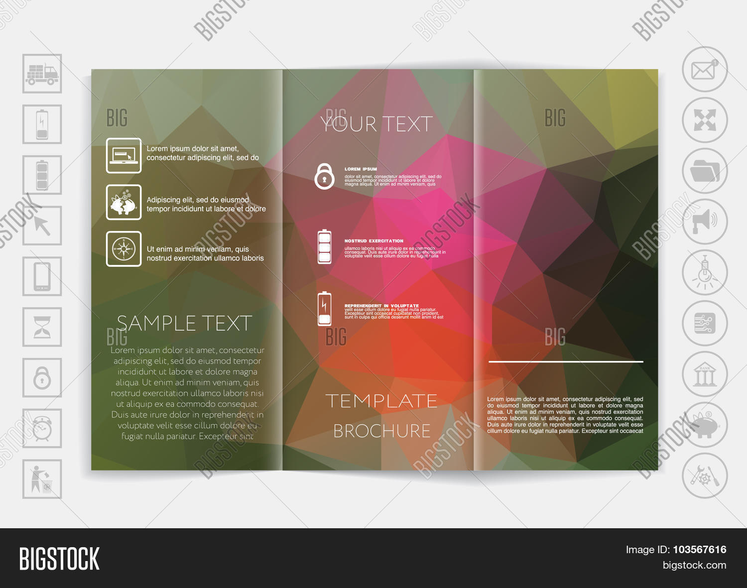 Tri-fold Brochure Vector & Photo (Free Trial) | Bigstock