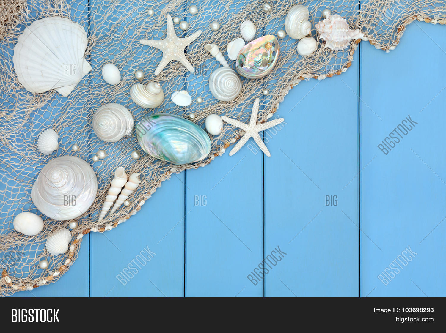 Seashell Abstract Image & Photo (Free Trial) | Bigstock