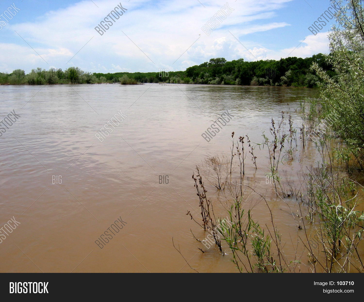 Rio Grande Wetlands Image & Photo (Free Trial) | Bigstock