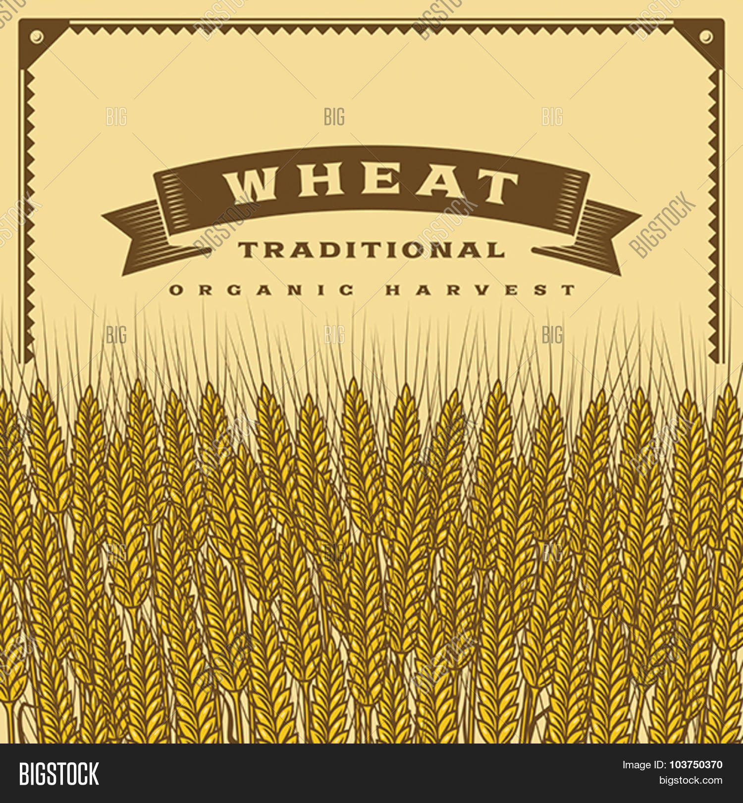 Retro Wheat Harvest Vector & Photo (Free Trial) | Bigstock