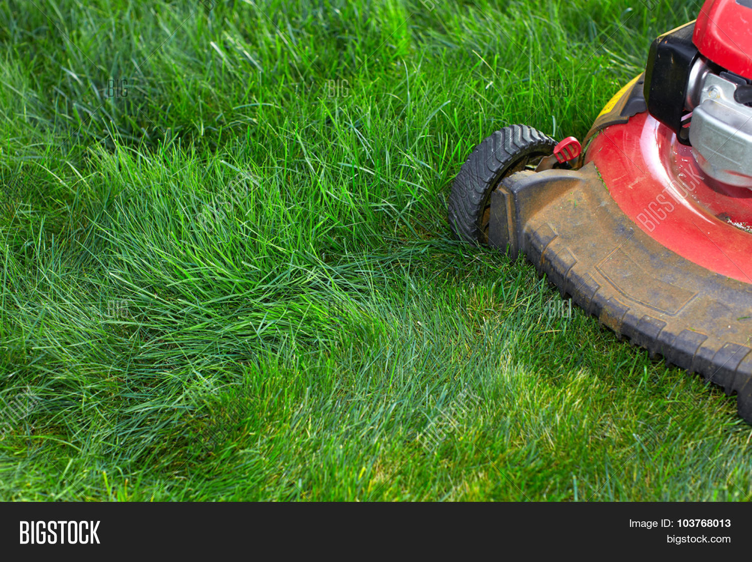 Lawn Mower Cutting Image & Photo (Free Trial) | Bigstock