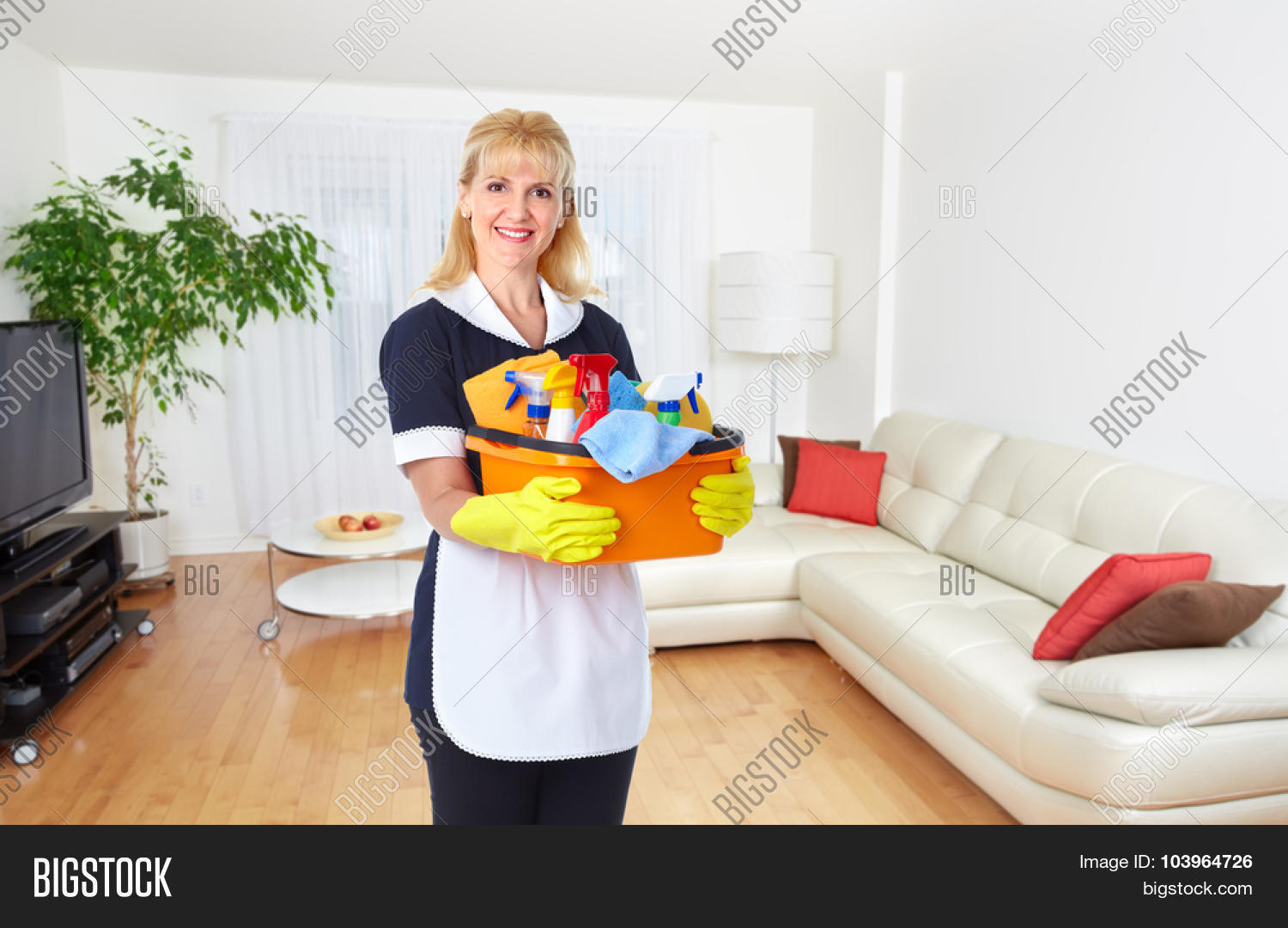 Maid Woman Tools. Image & Photo (Free Trial) | Bigstock