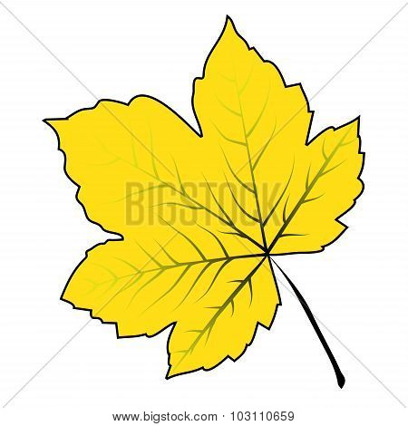 Image Cartoon Maple Vector & Photo (Free Trial) | Bigstock