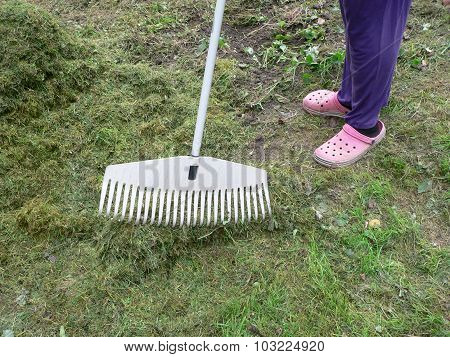 Raker Image & Photo (Free Trial) | Bigstock