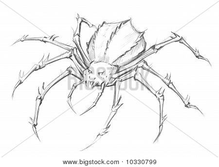 Hand-drawn Spider Image & Photo (Free Trial) | Bigstock
