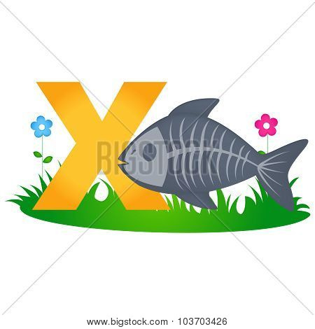 Animal Alphabet Letter Image & Photo (Free Trial) | Bigstock