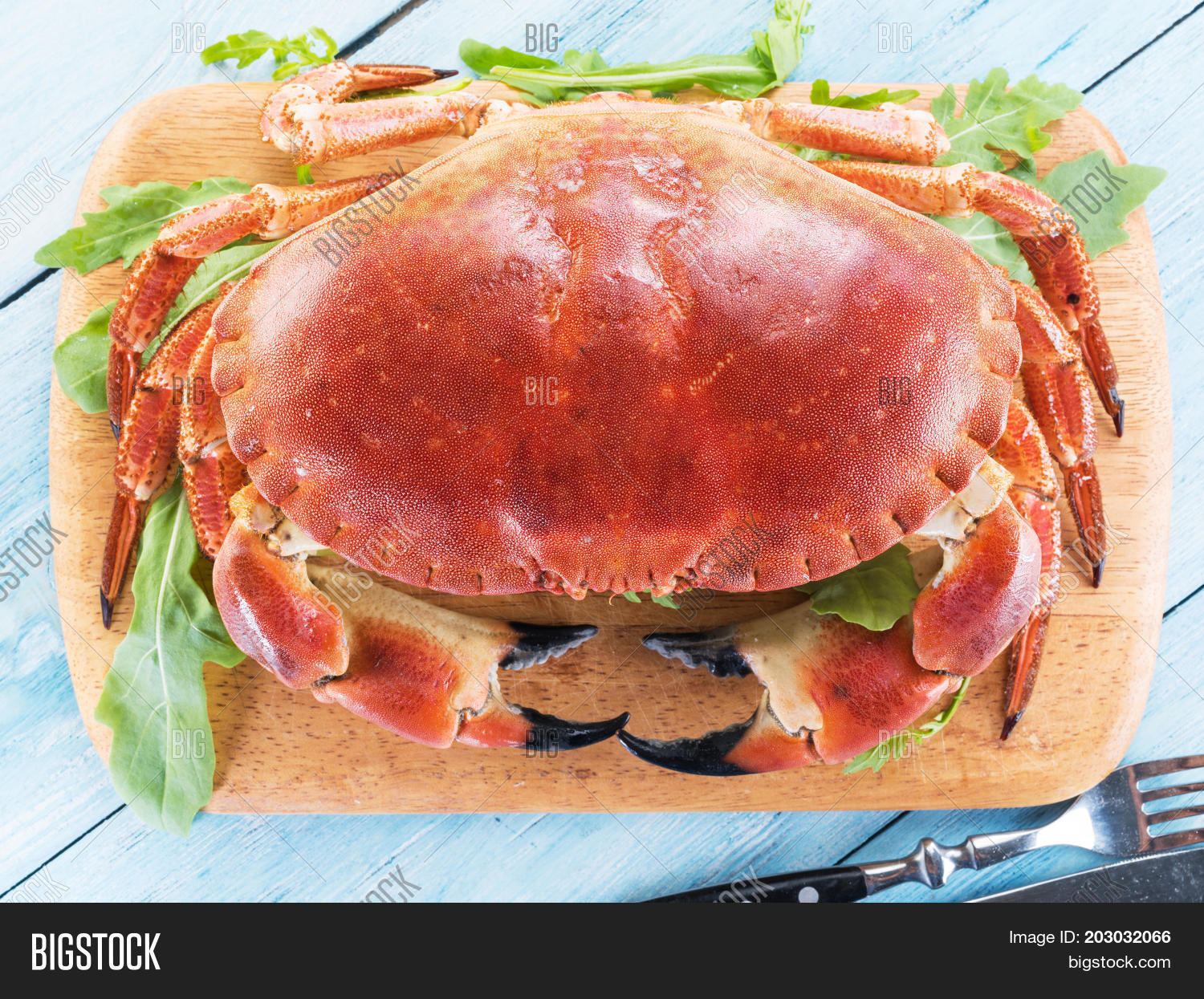 Cooked Brown Crab Image & Photo (Free Trial) | Bigstock