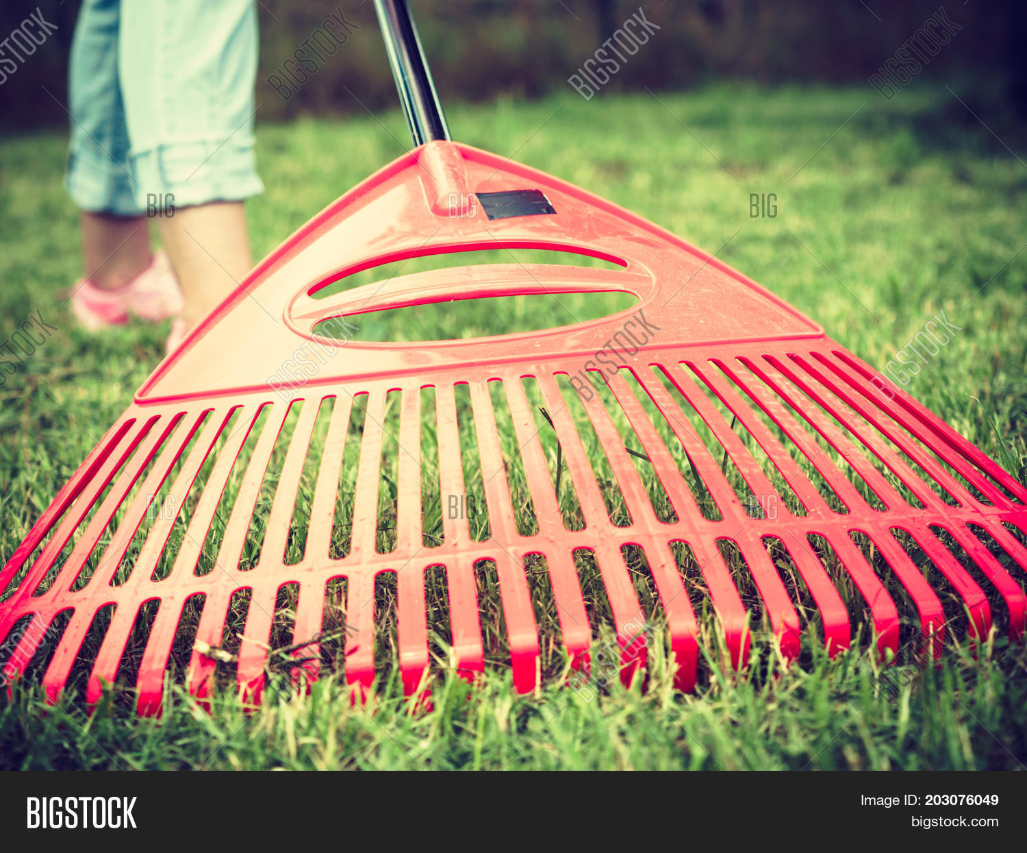 Gardening. Female Image & Photo (Free Trial) | Bigstock