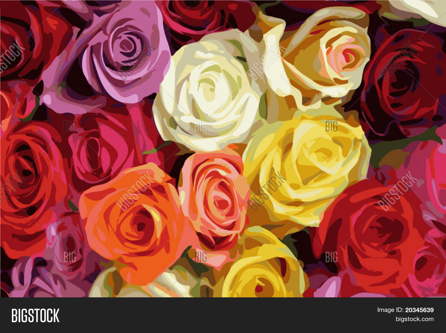 Multi Color Roses Vector & Photo (Free Trial) | Bigstock