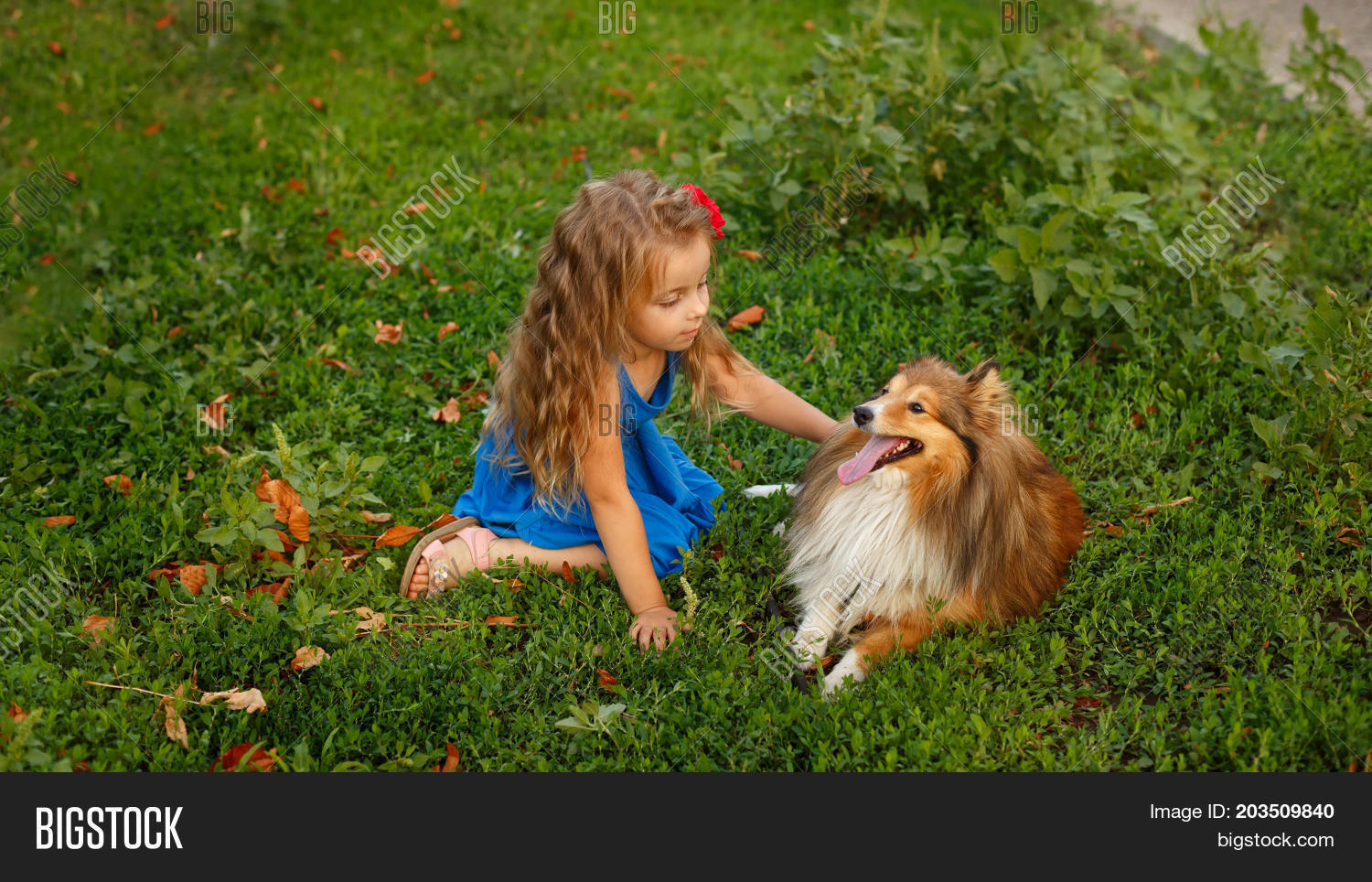 Cute Little Girl Dog Image & Photo (Free Trial) | Bigstock