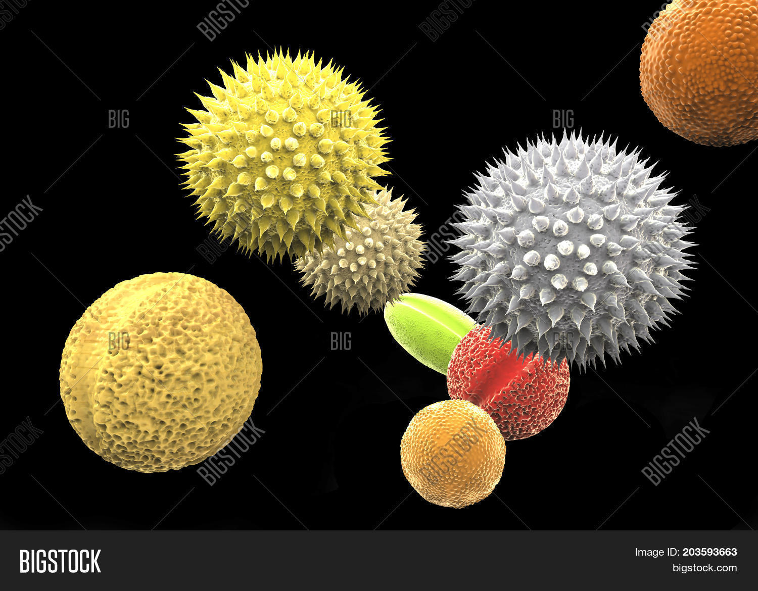 Pollen Grains Image & Photo (Free Trial) | Bigstock