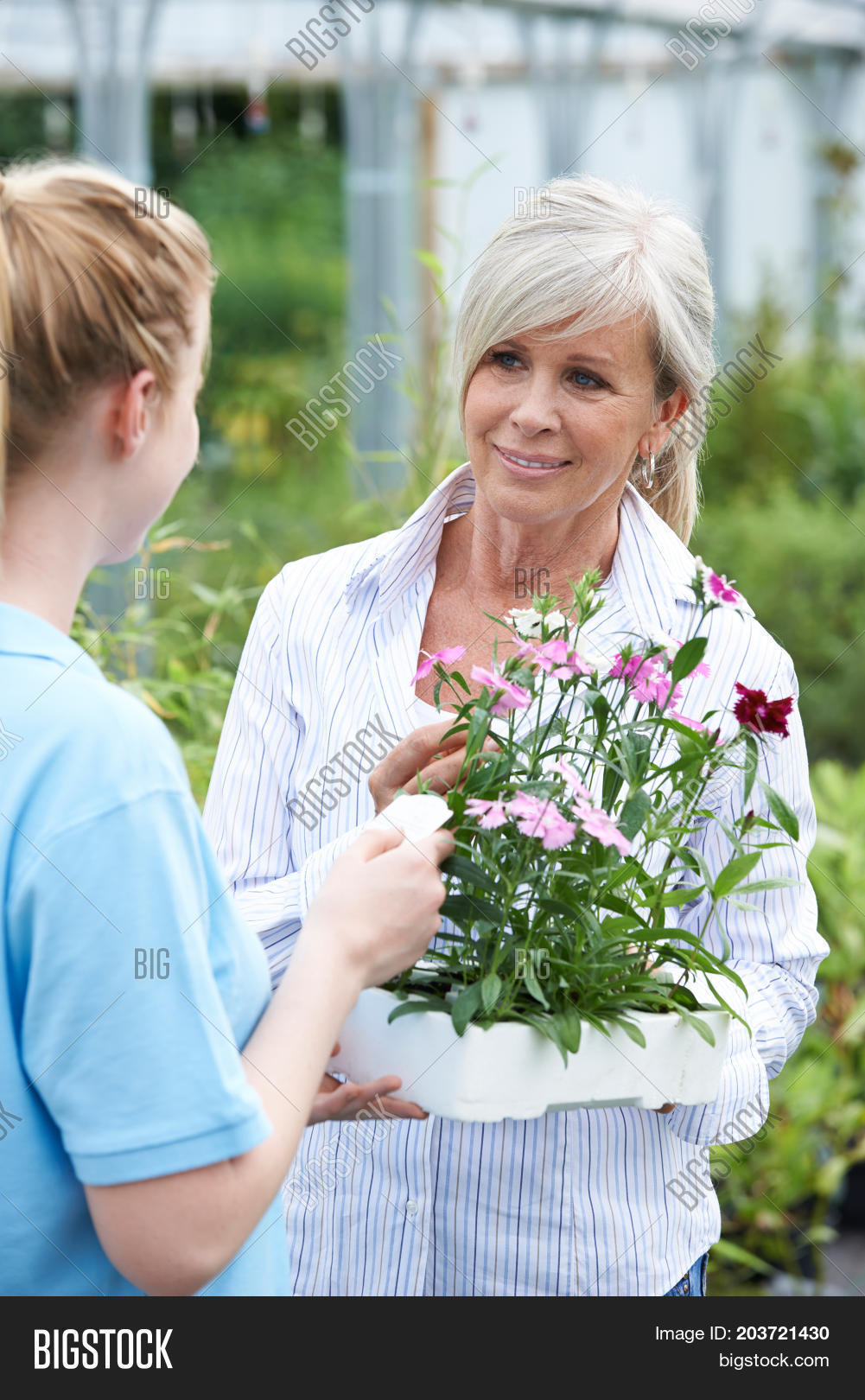 Staff Giving Plant Image & Photo (Free Trial) | Bigstock