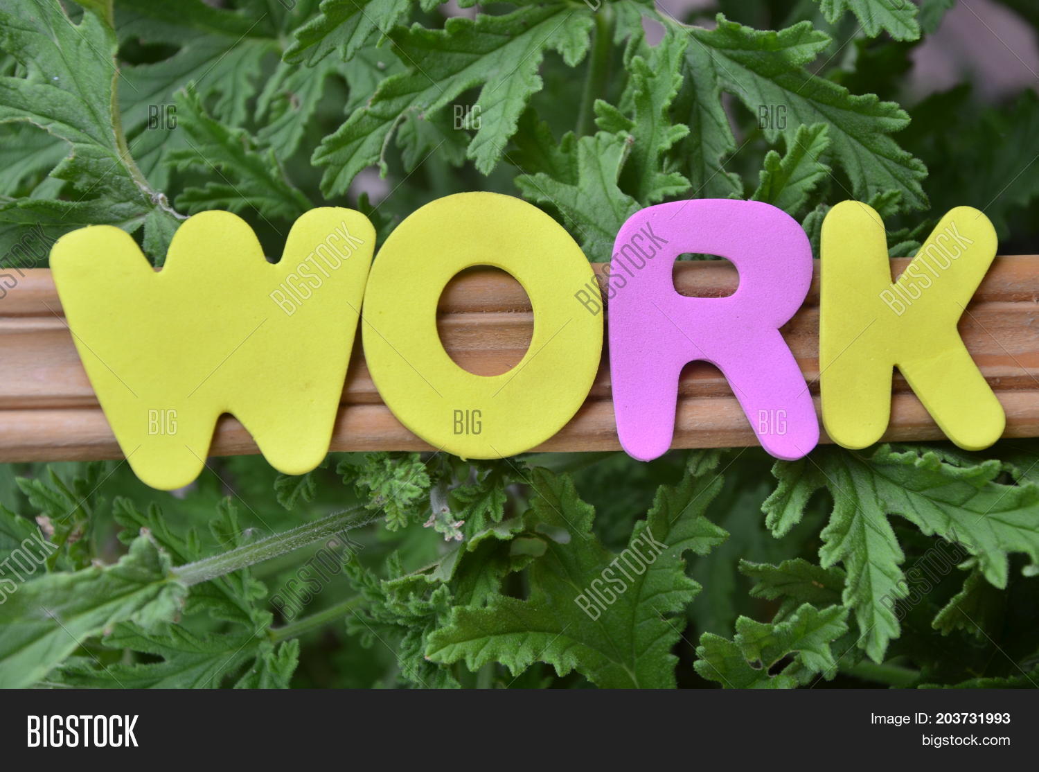 Word Work On Abstract Image & Photo (Free Trial) | Bigstock