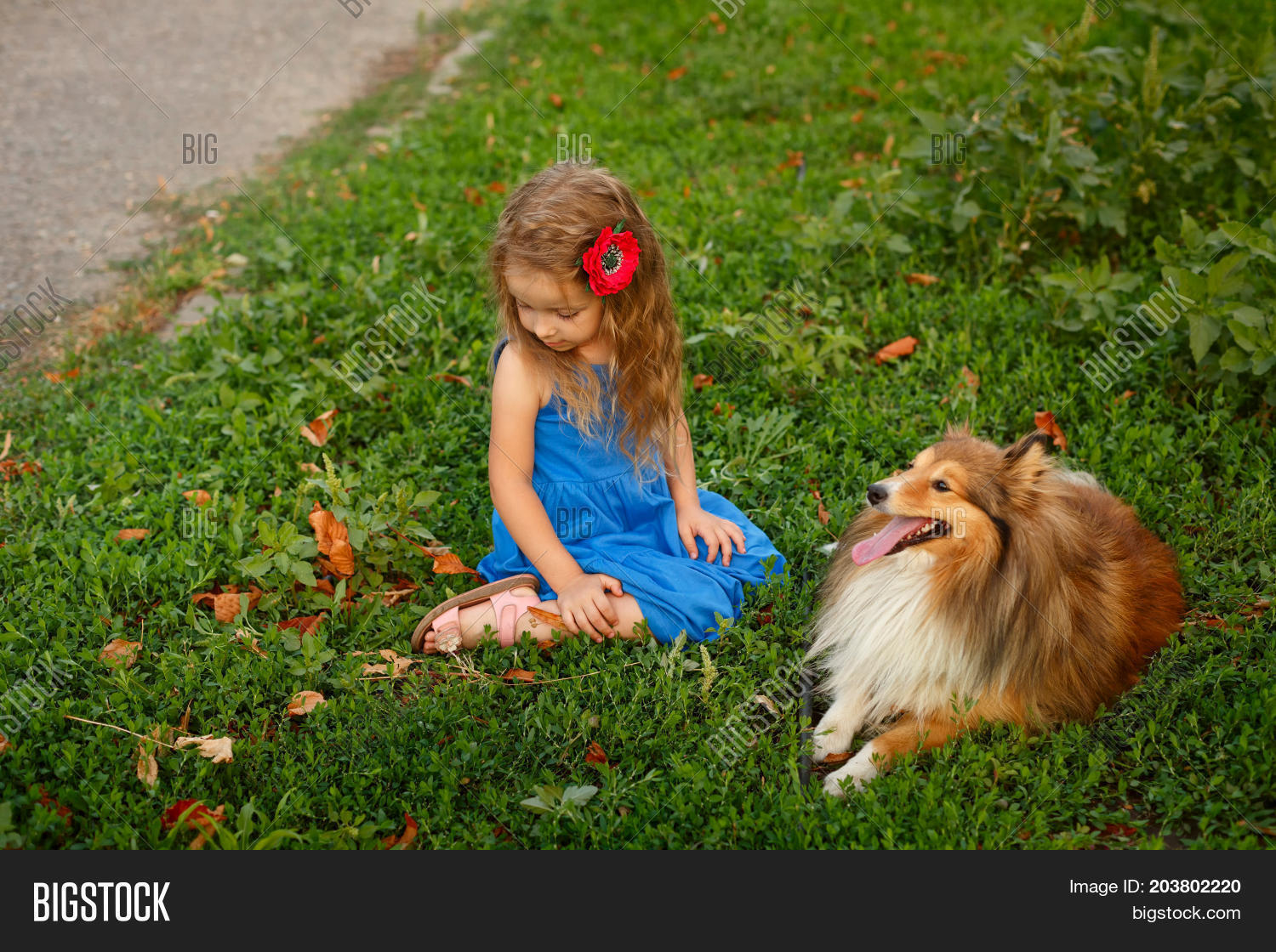 Cute Little Girl Dog Image & Photo (Free Trial) | Bigstock
