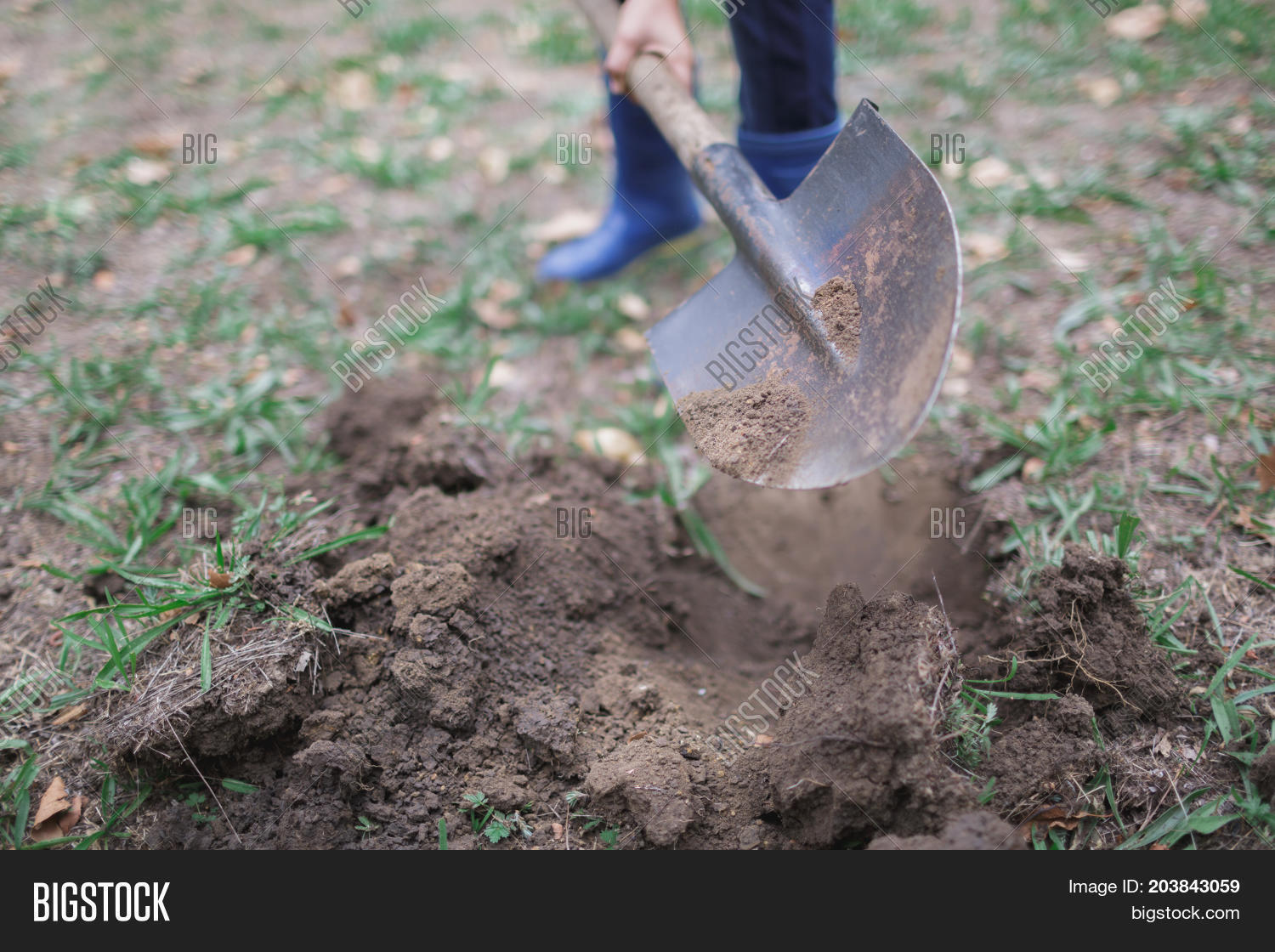 Man Dig Shovel Garden Image & Photo (Free Trial) | Bigstock