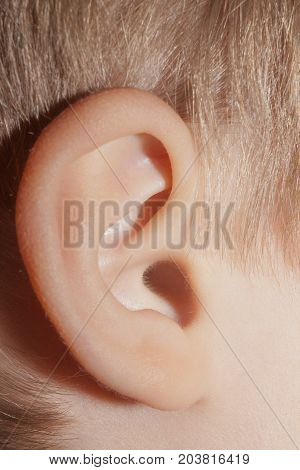 Human Ear Body Parts Image & Photo (Free Trial) | Bigstock