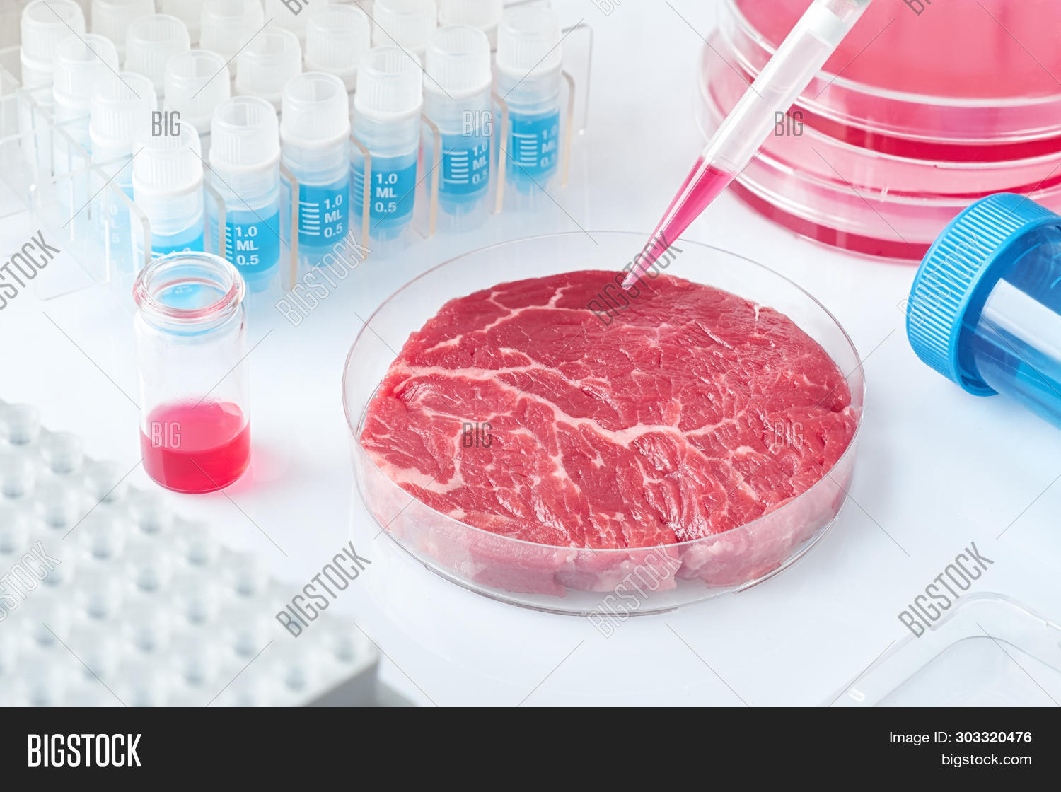 Meat Sample Open Image & Photo (Free Trial) | Bigstock
