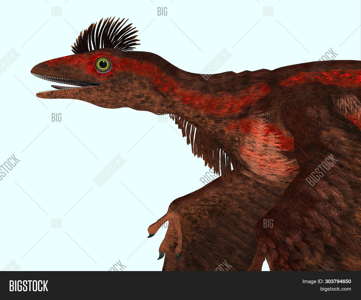 Microraptor Dinosaur Image & Photo (Free Trial) | Bigstock
