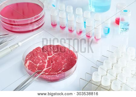 Meat Sample Open Image & Photo (Free Trial) | Bigstock