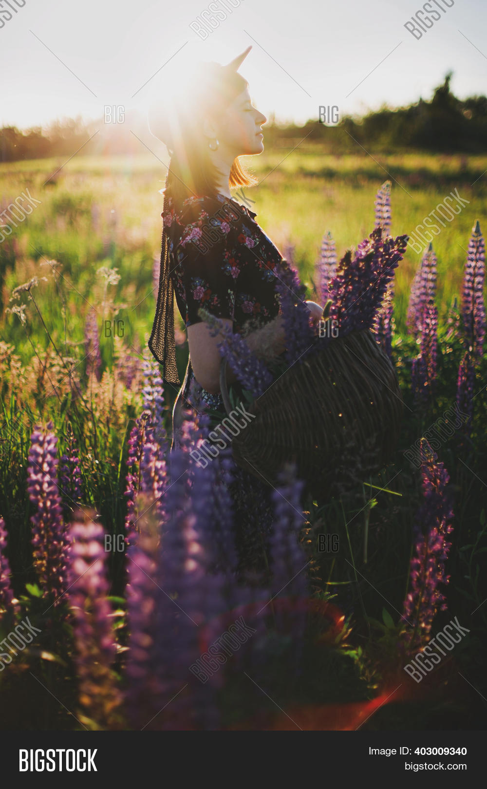 Beautiful Woman Image & Photo (Free Trial) | Bigstock