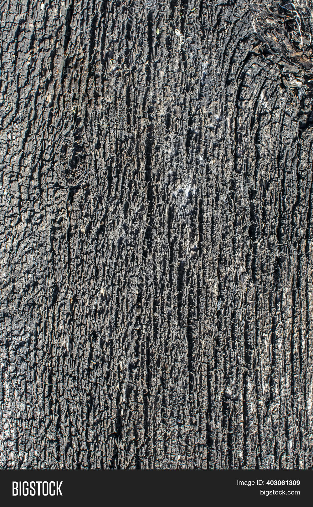 Texture Surface Old Image & Photo (Free Trial) | Bigstock